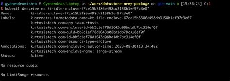 Enclave Pool Breaks Deterministic Enclave Namespaces · Issue 1203 · Kurtosis Techkurtosis · Github