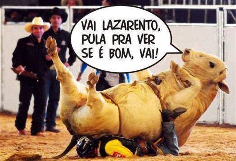 Toma Trouxa Meme By Pedro Matos Memedroid