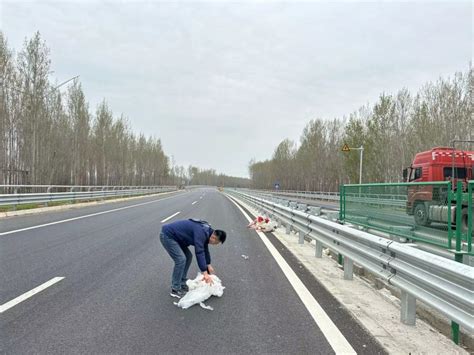 夏津公路分中心扎实推进春季公路扬尘治理工作德州新闻网