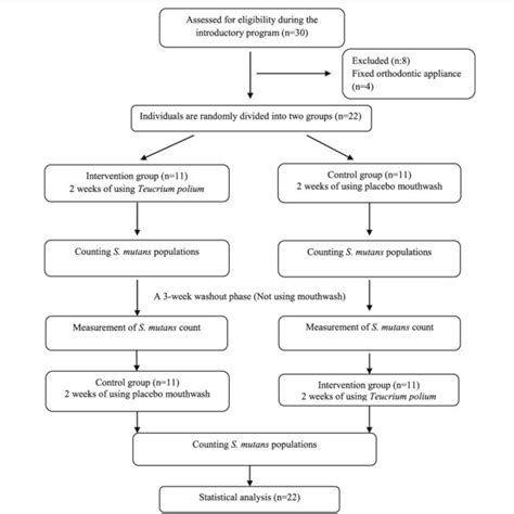 Colony Count Of Streptococcus Mutans Before And After Each Phase Download Scientific Diagram