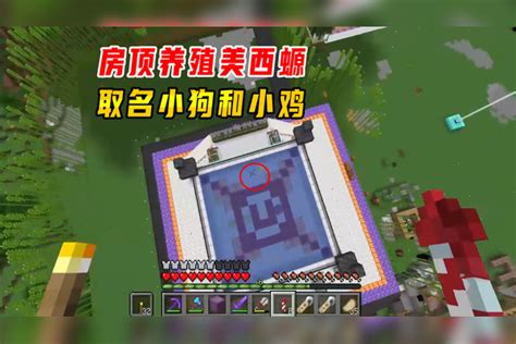 1 17我的世界84房顶养殖美西螈一个取名小狗一个取名小鸡