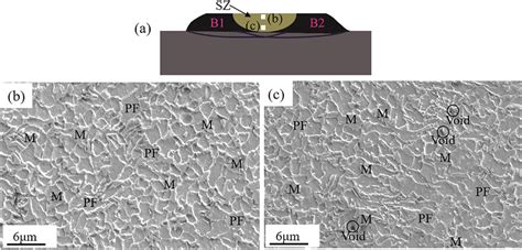 SEM Images Of A Schematic Of A Hybrid Additive Bead HAB B C Download Scientific Diagram