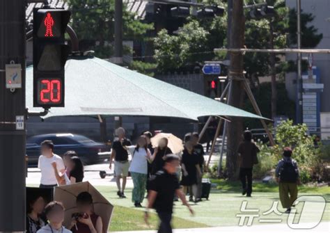 정선군 보행신호등 잔여 시간 표시기 설치 뉴스1