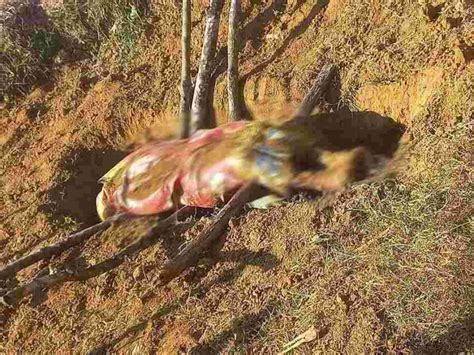 လောင်းလုံးမြို့နယ်တွင် စစ်တပ် စစ်ကြောင်းကို ၅ ကြိမ် မိုင်းဆွဲ တိုက်ခိုက်မှု စစ်တပ်ဘက်မှ ၅