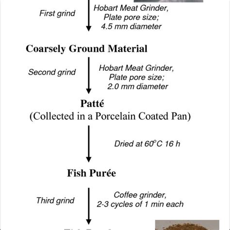 Tools In Fish Processing And Their Uses At Elizabeth Simson Blog
