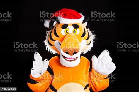 검은 색 배경에 빨간 산타 클로스 모자에 부드러운 오렌지 호랑이봉 크리스마스와 새해 2022 개념 12월에 대한 스톡 사진 및