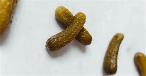 Do Pickles Go Bad A Guide To Pickles Shelf Life And Storage
