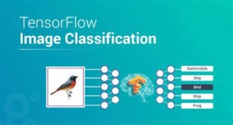 deep learning with tensorflow image classification training