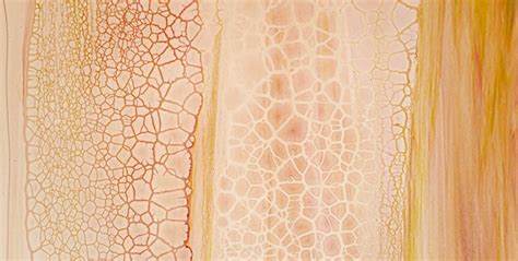 Premium Photo Psychedelic Patterns And Get Lost In An Abstract Masterpiece Of Colors And Shapes