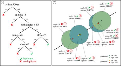 Duplicate Identification A Decision Tree B Example The Black Download Scientific Diagram