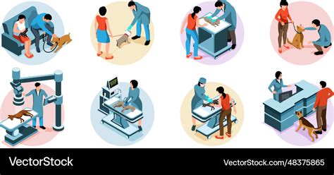 Veterinary Isometric Compositions Set Royalty Free Vector