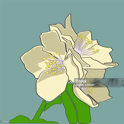 Bunga Putih Pada Abuabu Biru Ilustrasi Stok Unduh Gambar Sekarang Bunga Bunga Liar