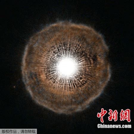 碳星图册 360百科