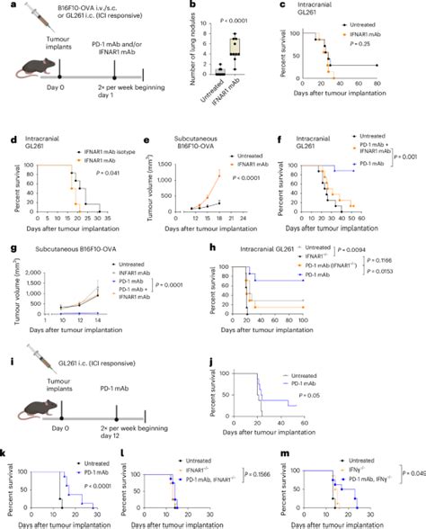 Sensitization Of Tumours To Immunotherapy By Boosting Early Type I Interferon Responses Enables