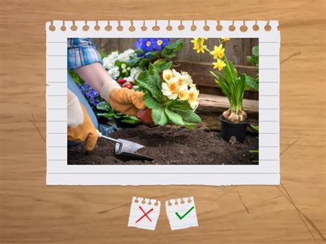 Go Getter Unit Places Flash Cards