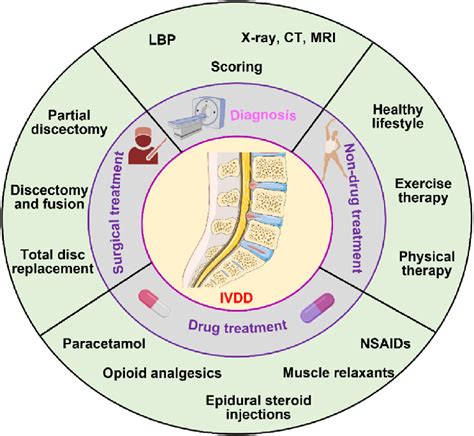 Diagnosis And Current Ivdd Treatments Download Scientific Diagram