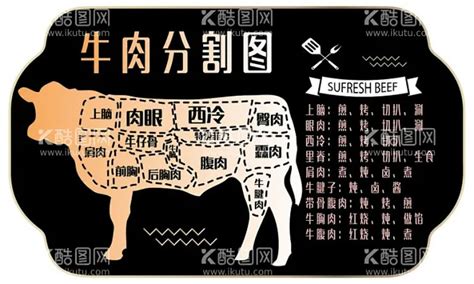 牛肉部位分割图 源文件下载【酷图网】牛肉 生牛肉 牛肉分部 牛分解图 牛部位图 牛肉分割图 牛肉部位图 肉类生肉牛肉 牛肉分布示意 牛肉