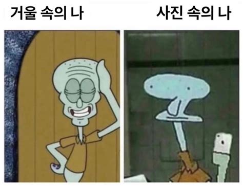 거울에 비친 나와 사진 속의 나 