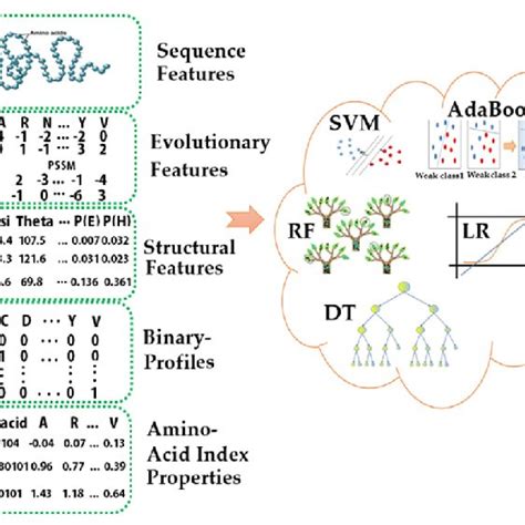 An Overview Of Current Computational Prediction Algorithms Of
