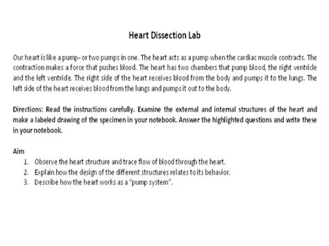 Heart Dissection Lab Ppt Heart And Cardiovascular Diseases