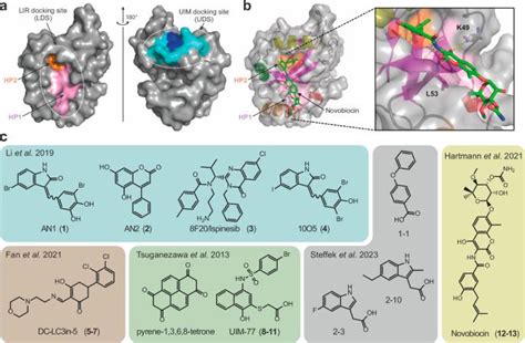 Martin Schwalm On Linkedin Critical Assessment Of Lc3 Gabarap Ligands Used For Degrader