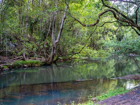 Everflow Nsw Holidays And Accommodation Things To Do Attractions And