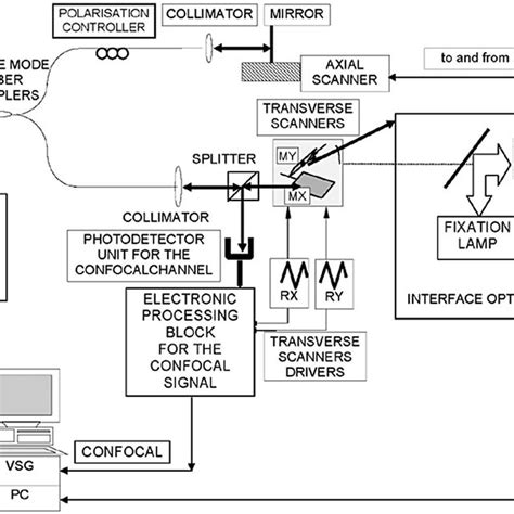 Scanning Protocols In Optical Coherence Tomography Oct The Oct
