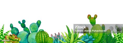 선인장과 다육 식물의 매끄러운 경계 수채화 다채로운 손으로 그린 디자인으로 카드 포스터 발표 문구류 로고 광고 등을 제공합니다 식물에 대한 스톡 벡터 아트 및 기타 이미지