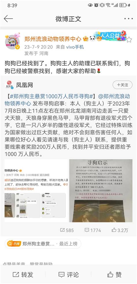 悬赏1000万寻狗最新消息狗已找到实际只给了5000元 澎湃号媒体 澎湃新闻 The Paper