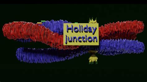 Chromosome Genetic Recombination 3d Model Superhive Formerly Blender