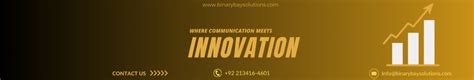 Binary Bay Solutions Linkedin