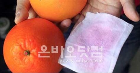 못먹는 썩은 오렌지 염색해 신선 오렌지로 둔갑