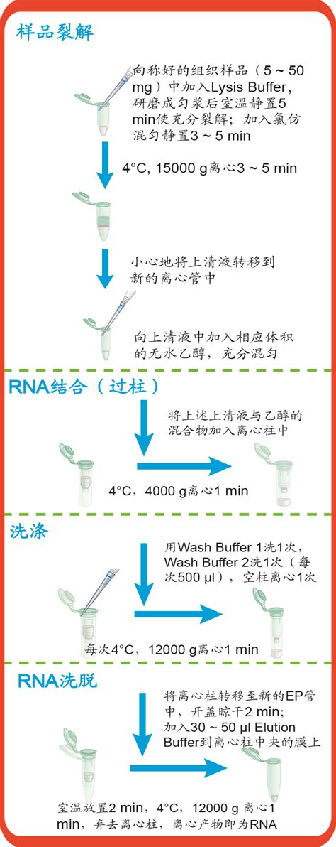 Tissue Rna Purification Kit Plus Ezb Rn001 Plus Rna提取 Ezbioscience Ezb