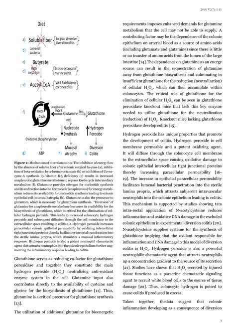 Diversion Colitis A Bioenergetic Model Of Pathogenesis Pdf