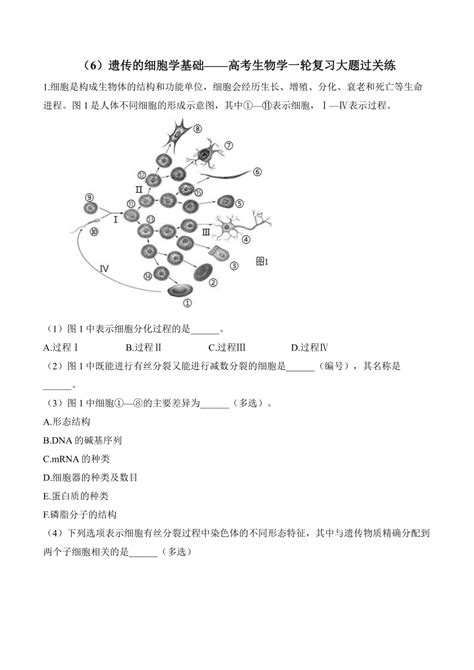 （6）遗传的细胞学基础（含解析）——高考生物学一轮复习大题过关练 21世纪教育网
