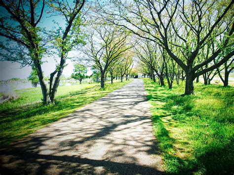 散歩道 GANREF