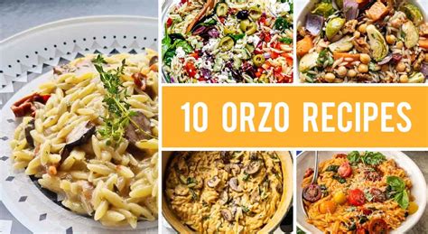 10 Best Orzo Recipes Quick And Easy
