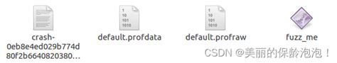 学习libfuzzer使用（一） libfuzzer下载fuzzing git和fuzzer test suite git有什么用 csdn博客