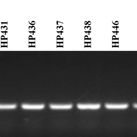 Iterative Non Linear Regression Curve Fitting With Decreasing Subsets Download Scientific