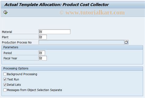 Cpte Sap Tcode Actual Template Allocation Run Schedule