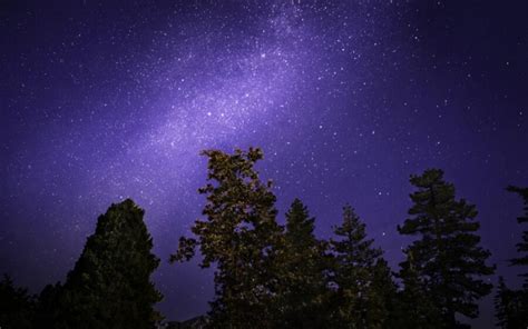 Гороскоп на 8 вересня Терезам ‒ суперечки а Левам ‒ фінансові справи Читайте на Ukr Net