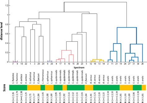 Figure 1 From Identification By Maldi Tof Ms Of Bacterial Microorganisms Associated With Dental