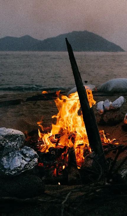 تصاویر حرفه ای برای طراحی گرافیک مجله، بنر و پوستر تبلیغاتی