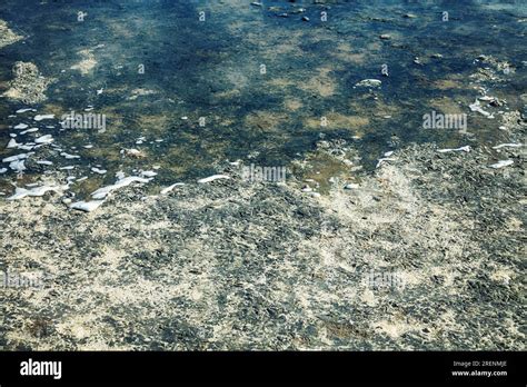 Wind Induced Water Level Fluctuations In The Salty Shallow Bays Of The