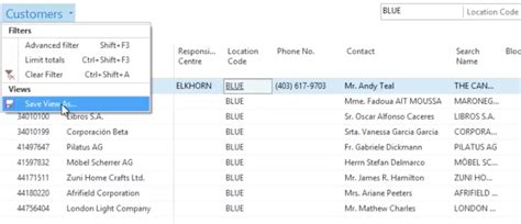 pages and filters in microsoft dynamics nav 5 save view as erp software blog