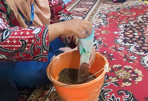 Pengemasan Pakan Ikan Jpeg Its News
