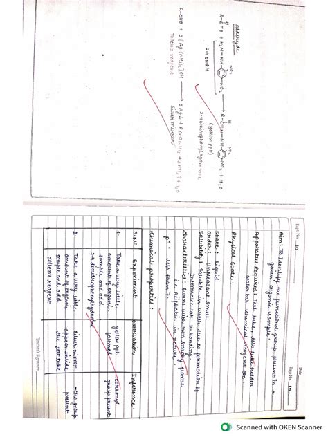 experiment 10 chemistry practical pdf