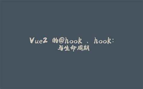 Vue2 的hook 、 Hook 与生命周期 拾光赋