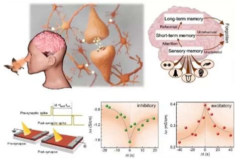indian scientists develop new brain like computing tech dst says