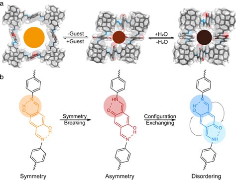 互变异构 3d 共价有机框架中的对称性破缺动力学 Nature Communications X Mol